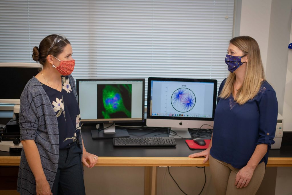 ManningLab » Pictures and Videos