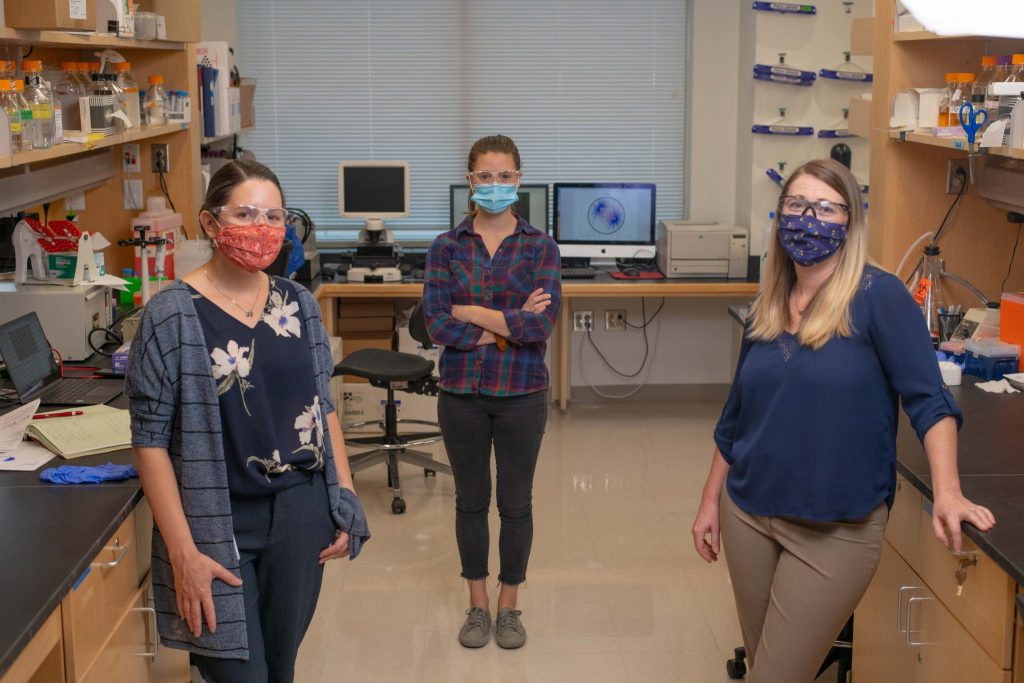 ManningLab » Pictures and Videos