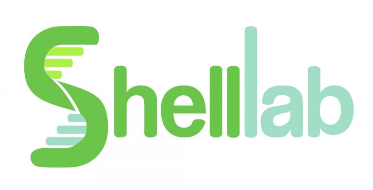 Shell Lab