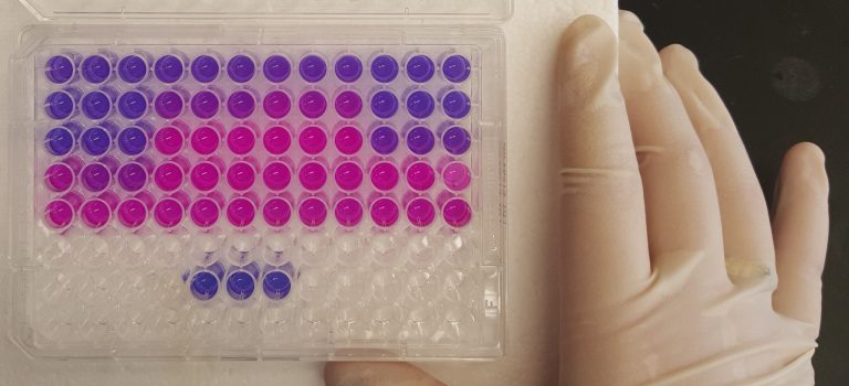 Shell Lab » Research