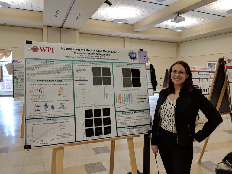 Shell Lab » Lab News