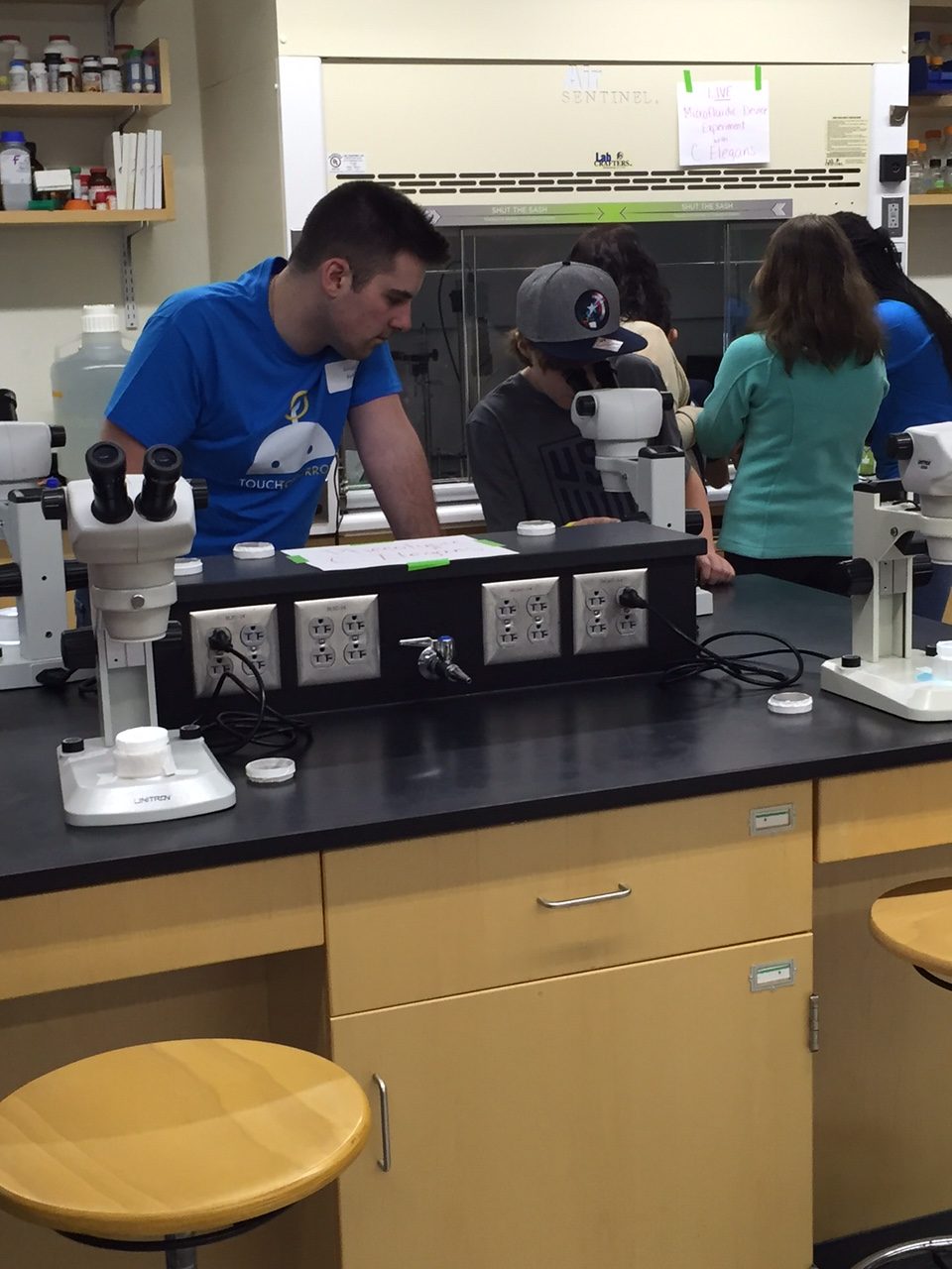 Systems Neuroscience Laboratory » Research