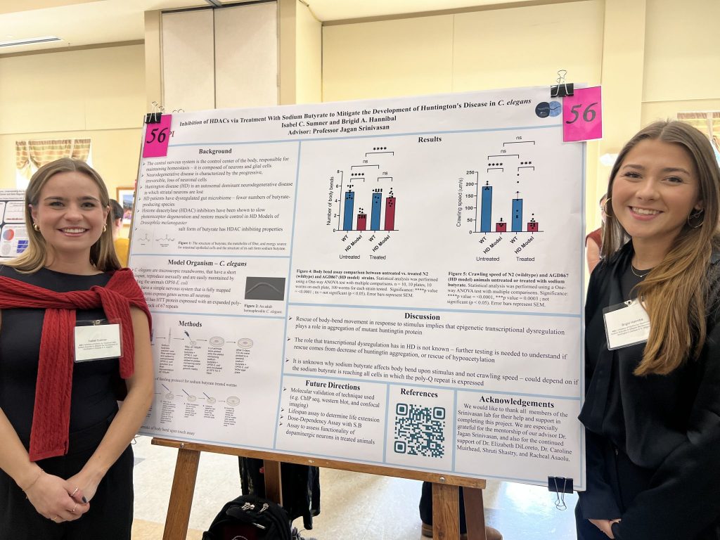 Systems Neuroscience Laboratory » A Galore of Undergraduate Research!