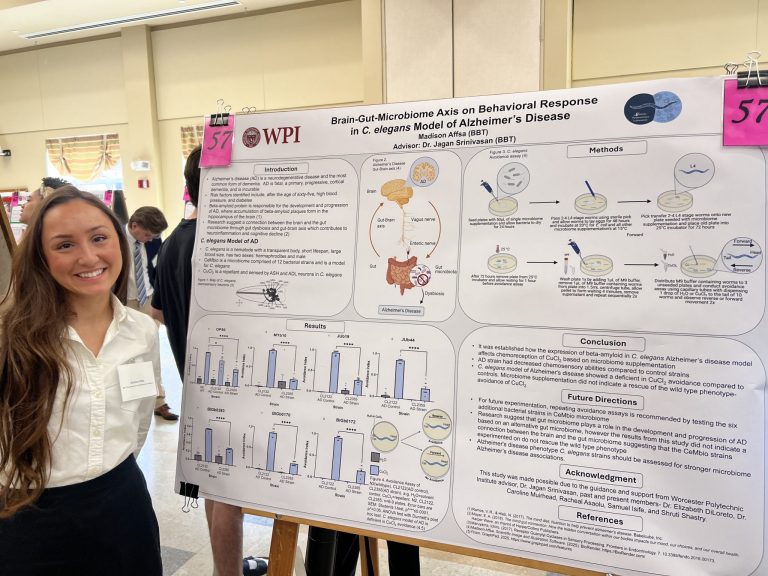 Systems Neuroscience Laboratory » A Galore of Undergraduate Research!