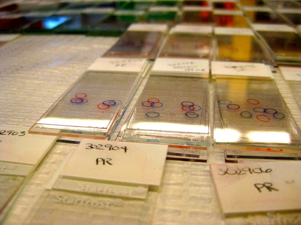 Zoe Reidinger » Research